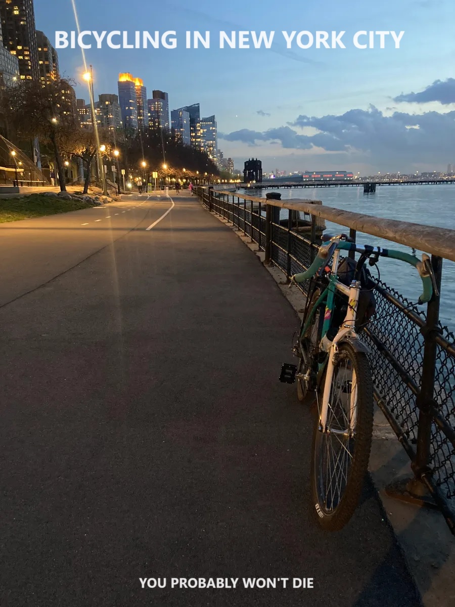 BICYCLIGN-IN-NYC – Bike Snob NYC