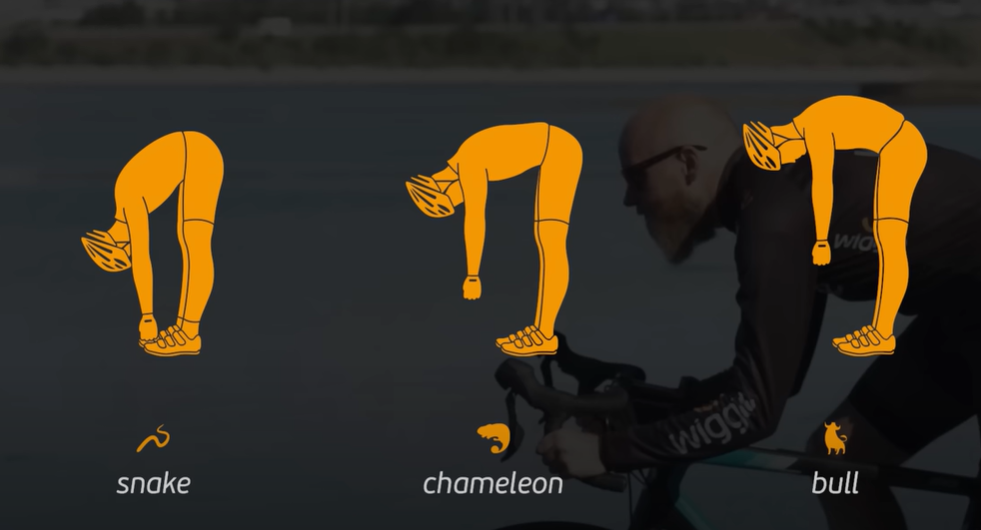 Screenshot 2025-01-29 184751 – Bike Snob NYC