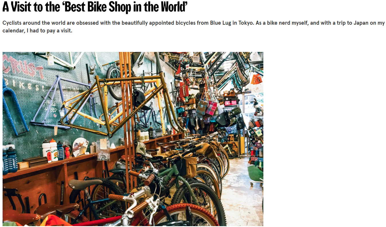 Screenshot 2025-05-09 090721 – Bike Snob NYC